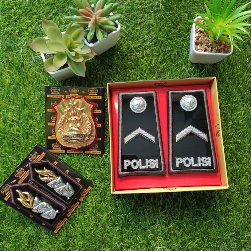 Jual PAKET PANGKAT PDH BRIPDA LIS BORDIR COKLAT | Shopee Indonesia