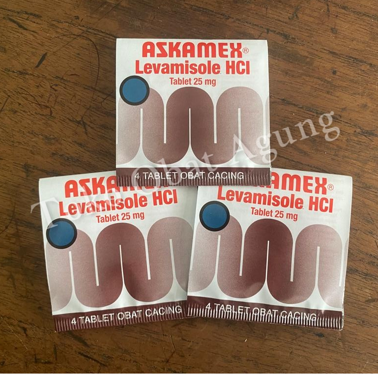 Jual Askamex Levamisole (1Strip Isi 4 Tablet). Obat Cacing Untuk Dewasa ...