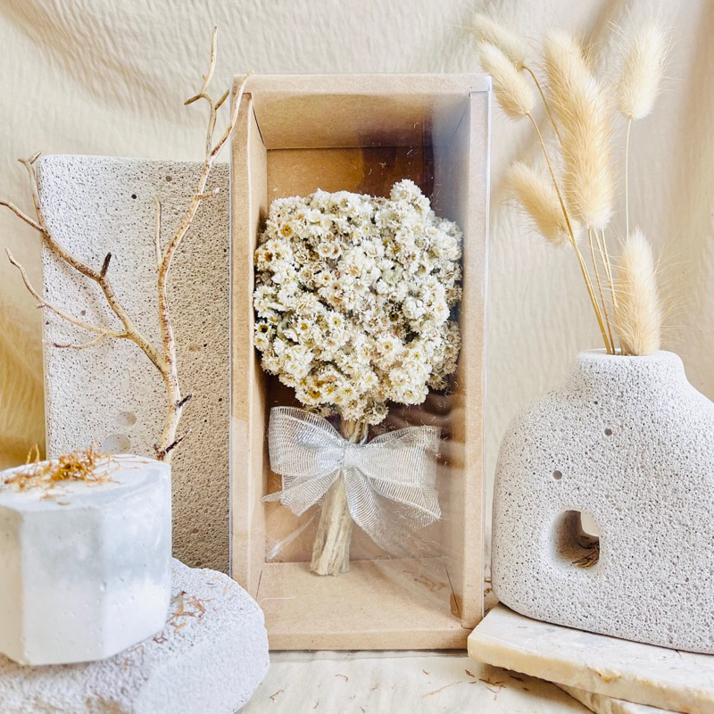 Jual BUNGA EDELWEIS / BROMO / ABADI NATURAL | KADO HADIAH UNTUK BESTIE ...