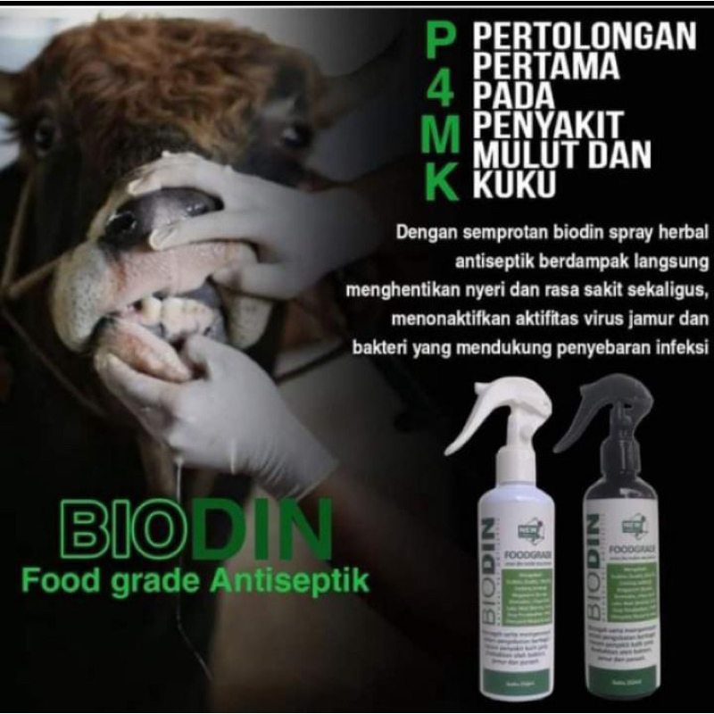 Jual BIODIN OBAT PMK SAPI AMPUH - UNTUK SAPI GAK MAU MAKAN DAN LUKA ...