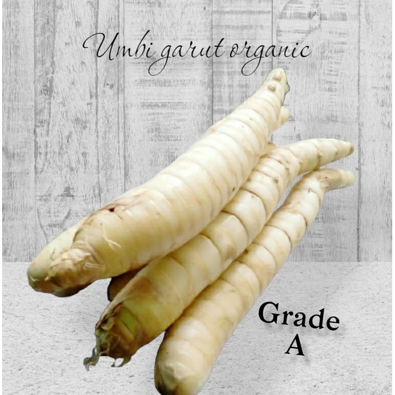 Jual Umbi Garut Segar / Ubi Garut 1kg/Makanan segar/umbi garut fresh ...