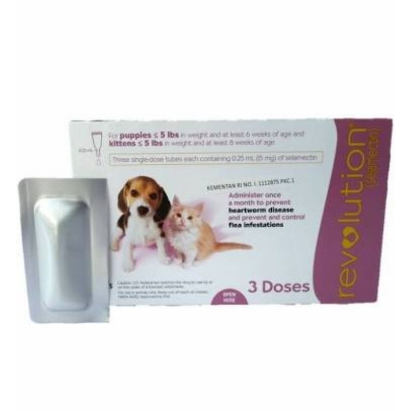 Jual Revolution Kitten Puppy 1 Tube Obat Kutu Anak Kucing dan Anak ...