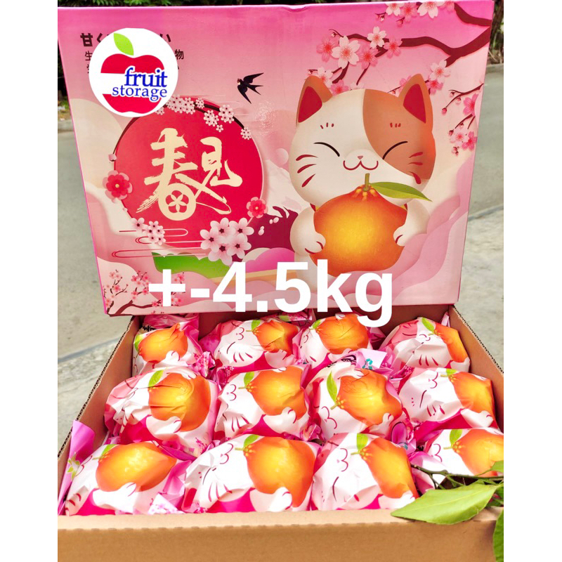 Jual Jeruk Dekopon Papagan Sumo Chunjian Ponkam Premium Giftpack Gift ...