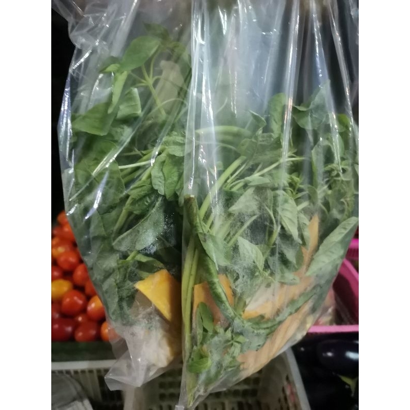 Jual SAYUR BUNGKUSAN PLASTIK | Shopee Indonesia