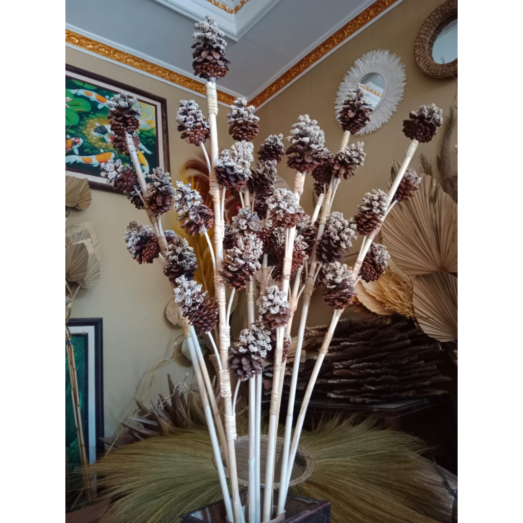 Jual Bunga Kering Pinus/Pinus Salju/Bunga Pinus Kering Mini//Bunga ...