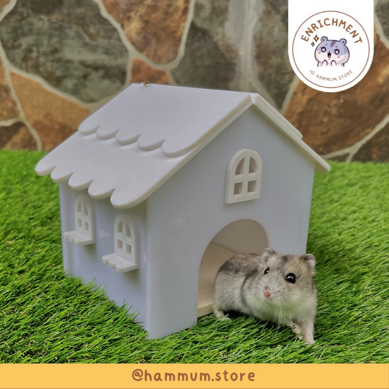 Jual Rumah Hamster | Hamster Hideout | Acrylic Hideout Hamster Dwarf ...
