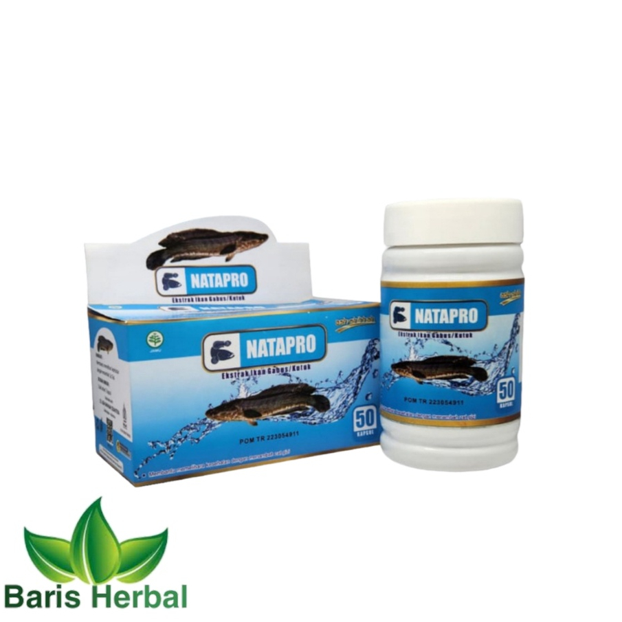 Jual Pro Albumin Natapro | Kapsul Ekstrak Ikan Gabus | Albumin Ikan ...