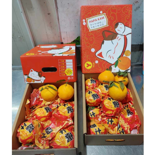 Jual Dekopon gift pack (XXL) | Shopee Indonesia
