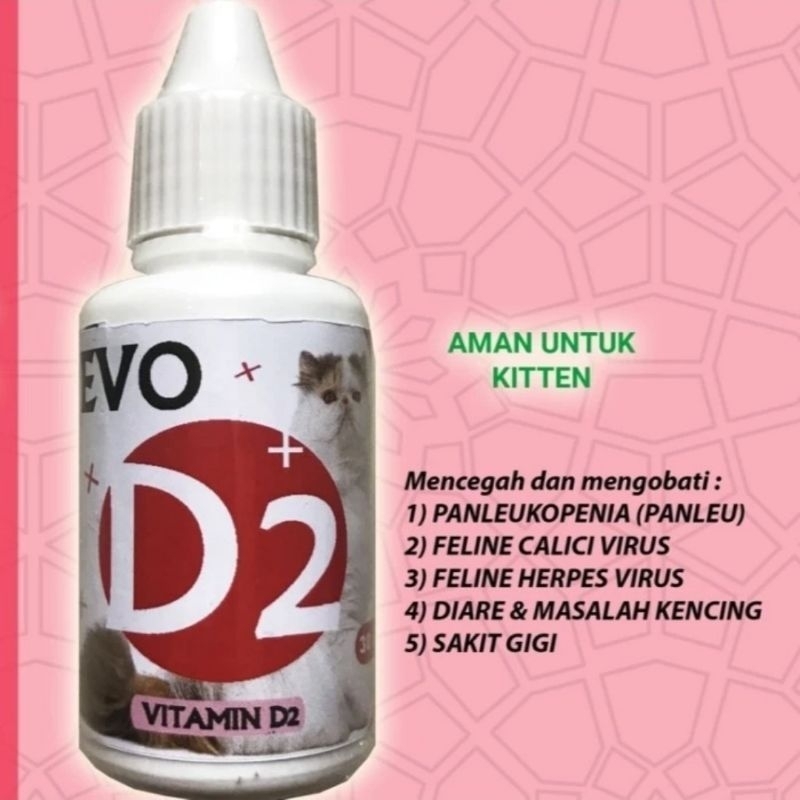 Jual EVO D2 VITAMIN OBAT KUCING | Shopee Indonesia