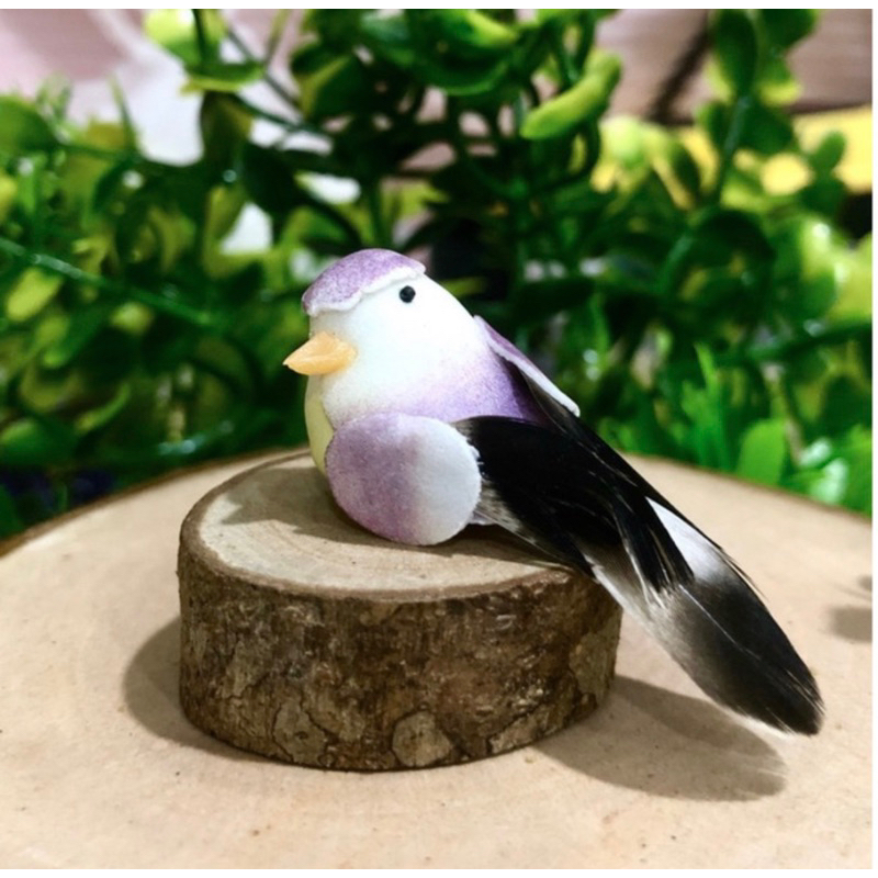 Jual miniatur beraneka burung untuk topper cake, bermain sensory ...