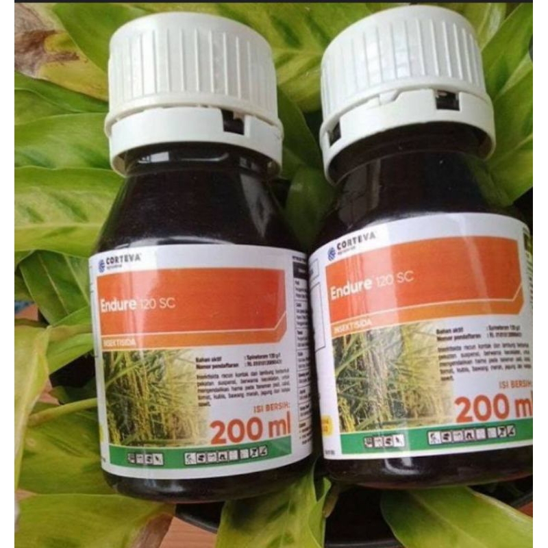 Jual insektisida endure 120sc 250ml | Shopee Indonesia