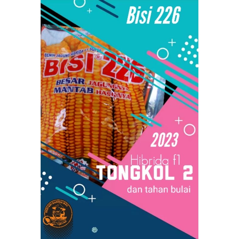 Jual Benih jagung Bisi 226 tongkol dua 1 kg | Shopee Indonesia