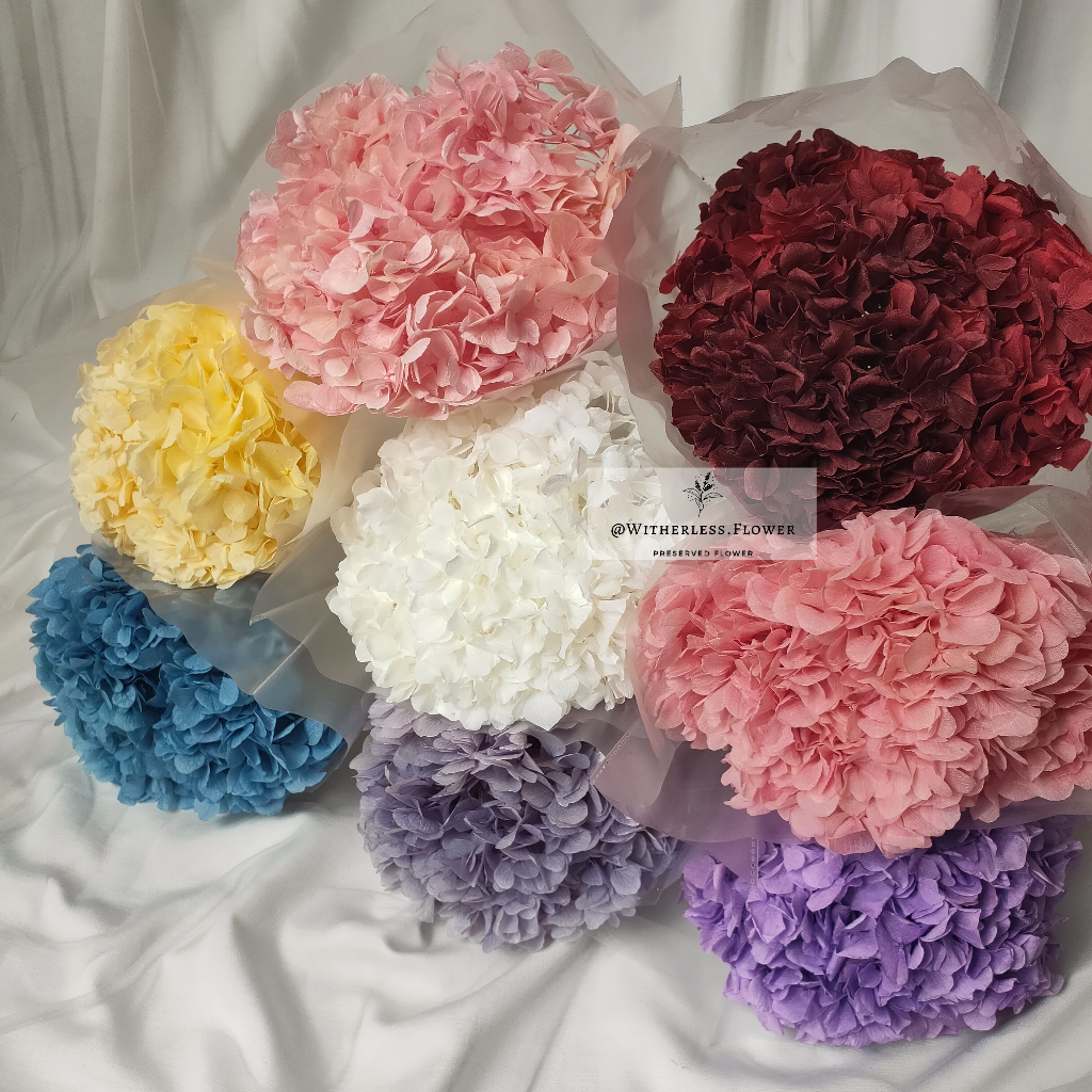 Jual 1 Bunch Preserved Whole Big Leaf Hydrangea / Dried Flower Awetan ...