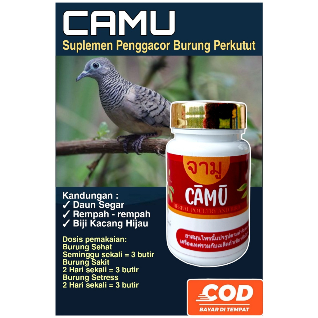 Jual PIL PERKUTUT AGAR GACOR, ,VITAMIN PERKUTUT GACOR JAMU PERKUTUT ...