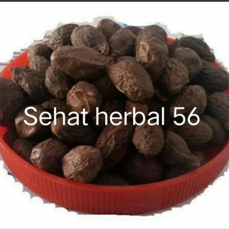 Jual Buah Tempayang 100gr /Tempoyan/Semangkuk / Beng Ta Hai//Bengkak ...