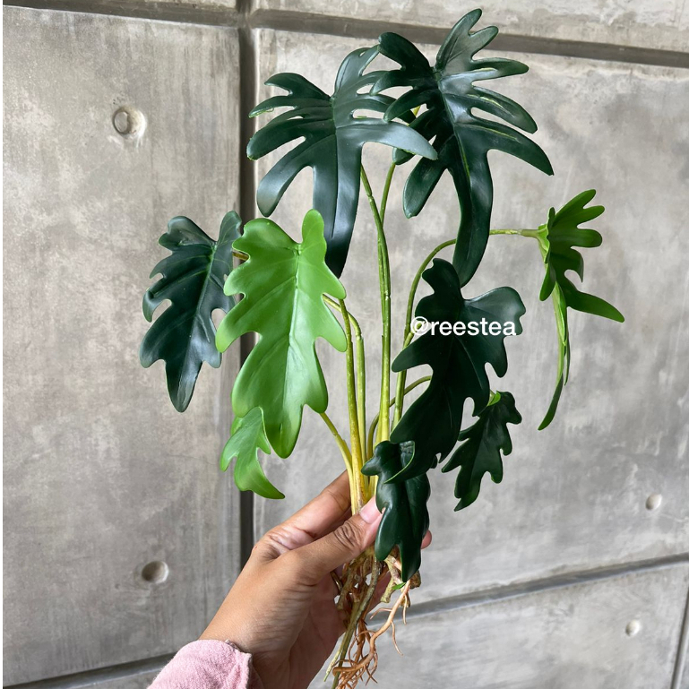 Jual Philo akar / tanaman hias / Tanaman Artificial/ Pohon hias palsu ...
