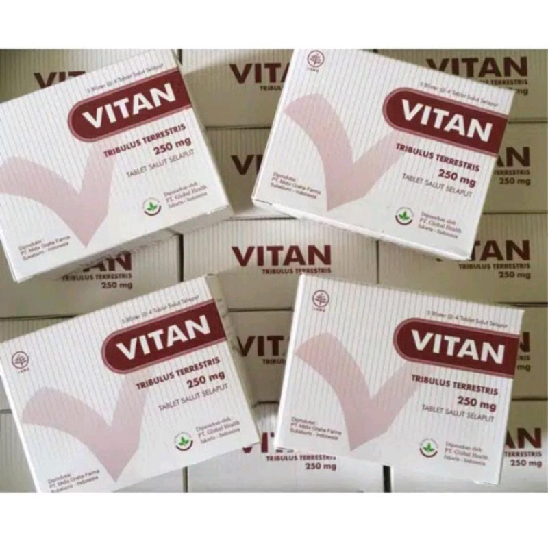Jual VITAN TRIBULUS TERRESTRIS 250 MG 1 BOX ISI 20 TABLET ORIGINAL ...