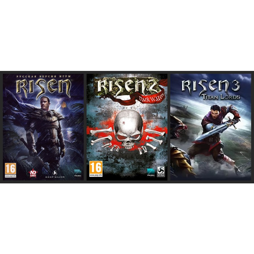 Jual Risen Game Paket Lengkap SEMUA SERI untuk PC Laptop | Shopee Indonesia