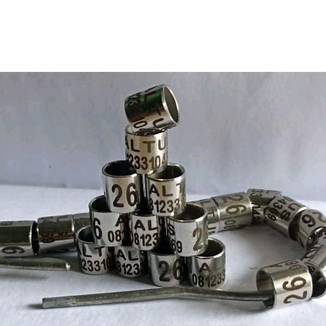 Jual RING BURUNG MURAI BAJA ANTI POTONG BISA CETAK NAMA | Shopee Indonesia