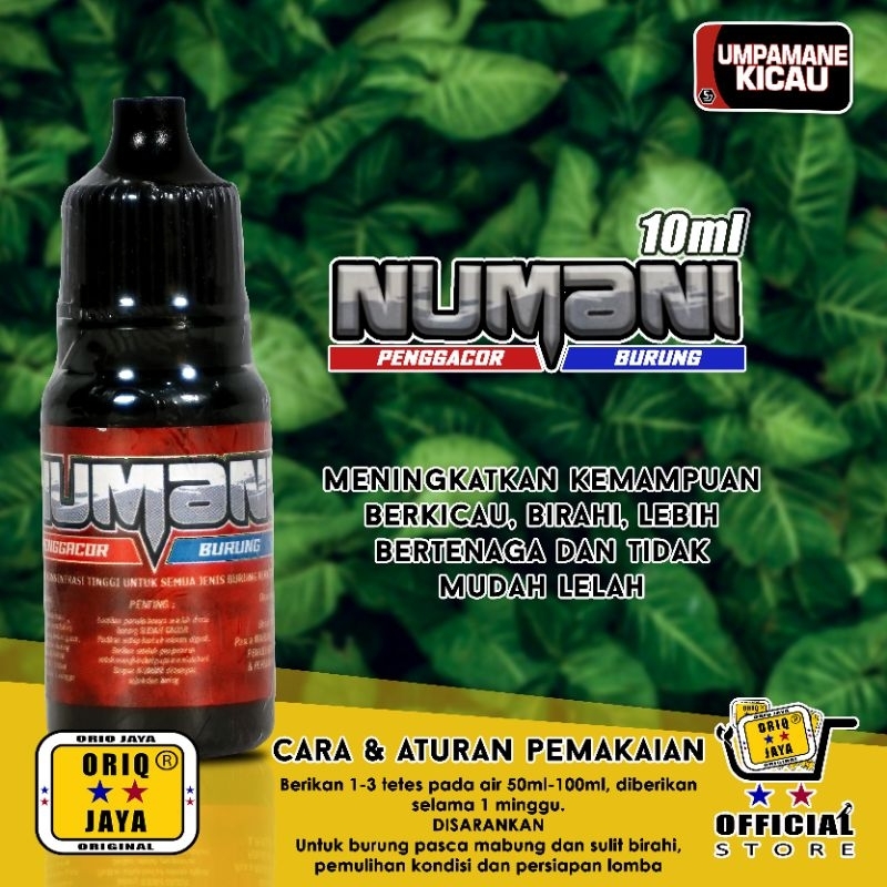 Jual Numani Umpamane Kicau ORIQ JAYA | Shopee Indonesia