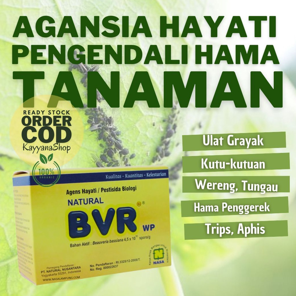 Jual Pestisida Organik / Pestida Nabati / Pestisida Biologi BVR 100gr ...