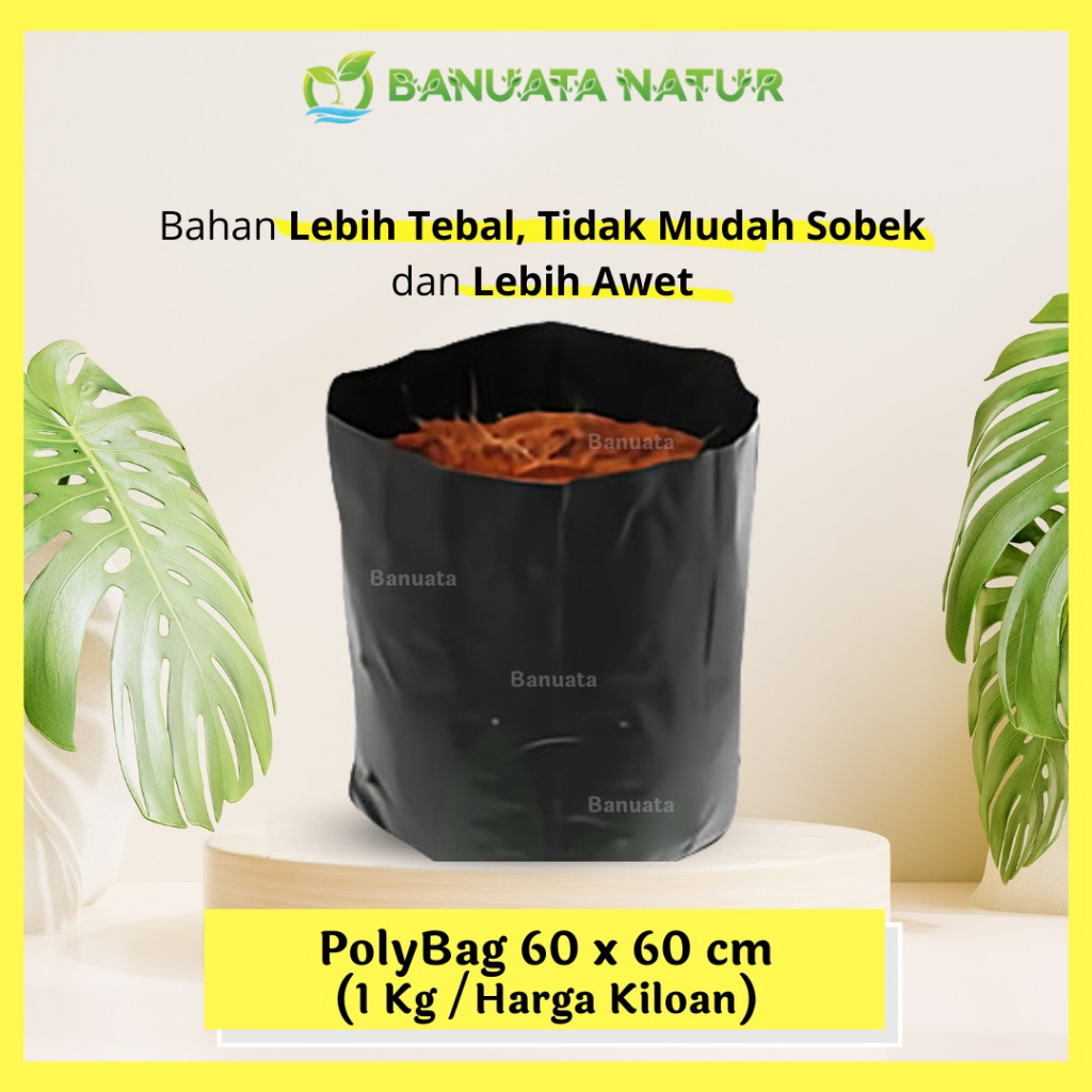 Jual Polybag Ukuran 60 X 60 Untuk Tanaman Berkualitas - Banuata ...
