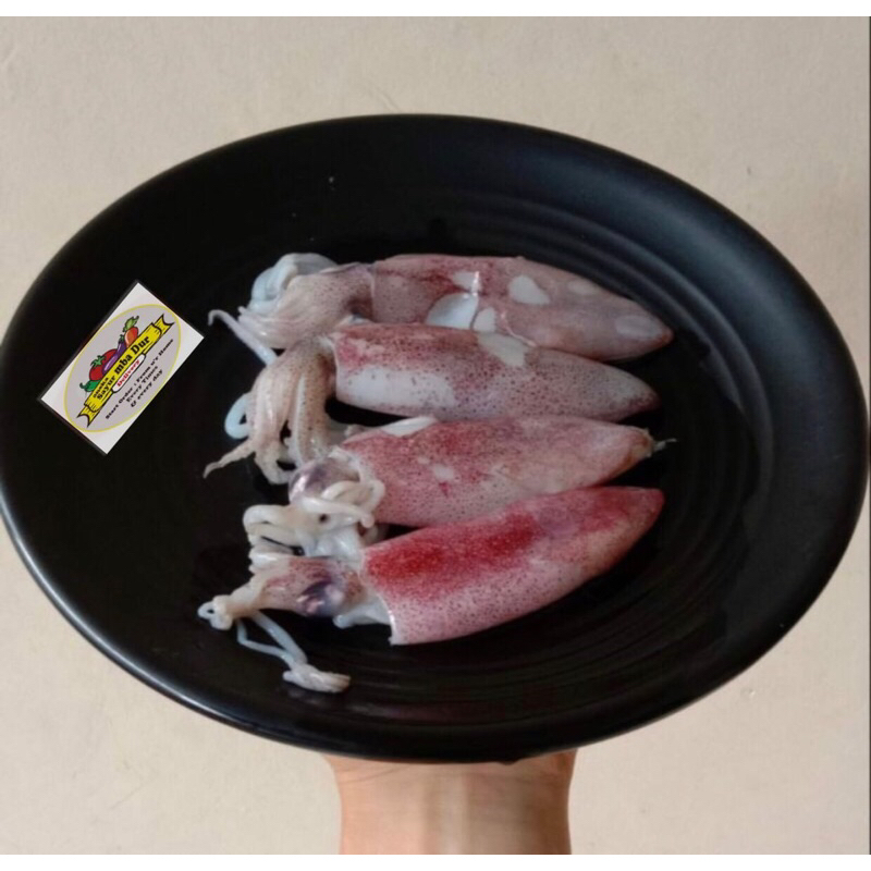 Jual Cumi Basah Fresh ~ 500Gram - 1Kg | Shopee Indonesia