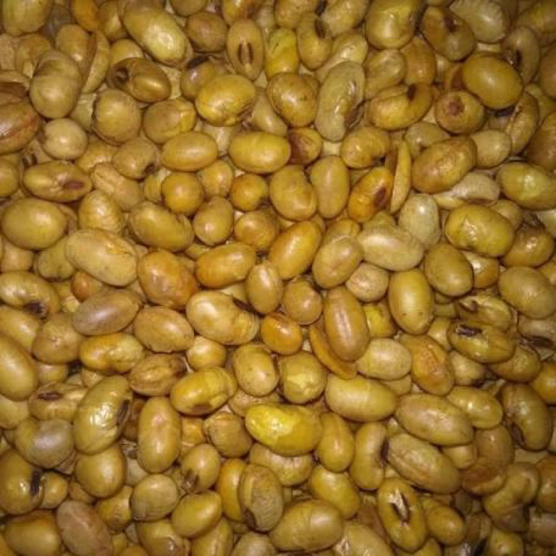 Jual KACANG KEDELAI / KEDELE GORENG ASIN 500gr | Shopee Indonesia
