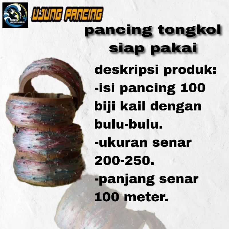Jual pancing Tonda Ikan tongkol & Cakalang siap pakai dengan umpan bulu ...