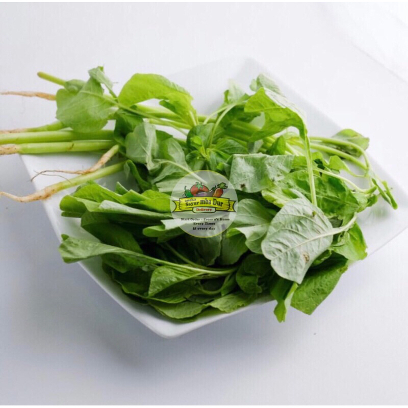 Jual Bayam / Kangkung / Pakcoy / Sawi Hijau / Sawi Caisim ~Per 1 ikat ...