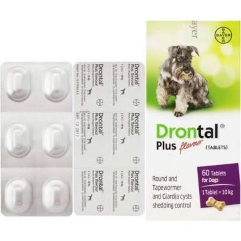 Jual Drontal Plus Dog 1tablet - Obat Cacing Anjing Tablet - Obat Cacing ...