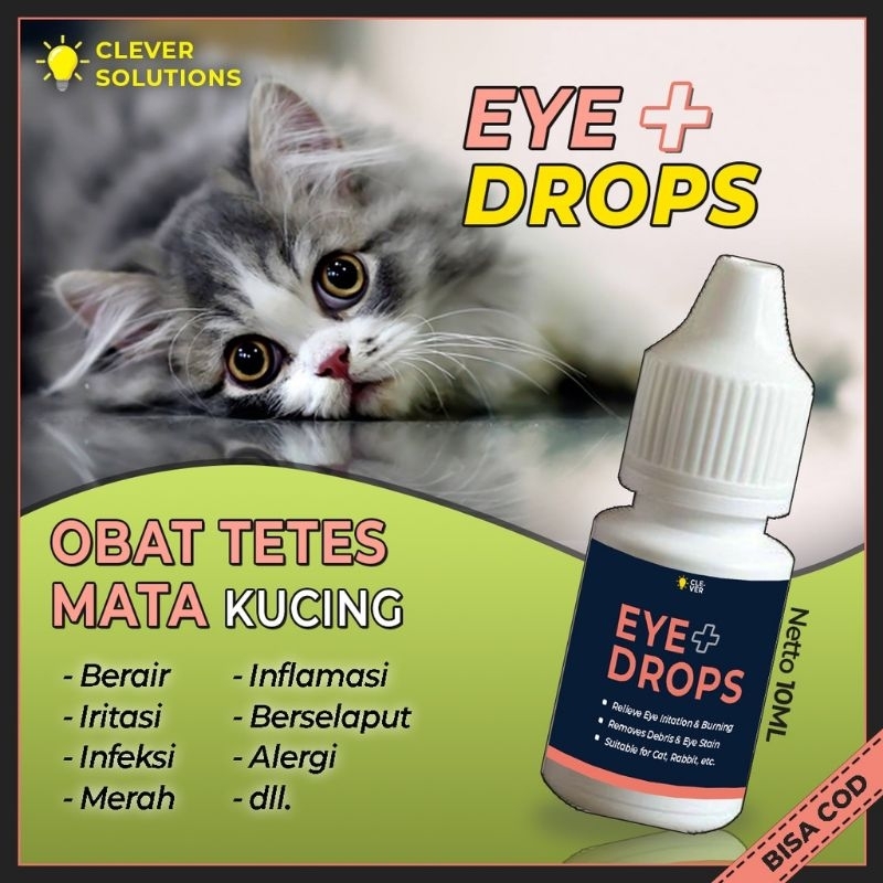 Jual Obat Tetes Mata Kucing EYE PLUS DROPS Obat Sakit Mata Kucing ...