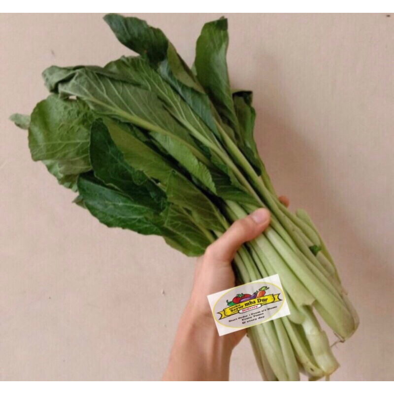 Jual Bayam / Kangkung / Pakcoy / Sawi Hijau / Sawi Caisim ~Per 1 ikat ...