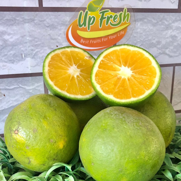 Jual Jeruk Sunkist Baby Java | Shopee Indonesia