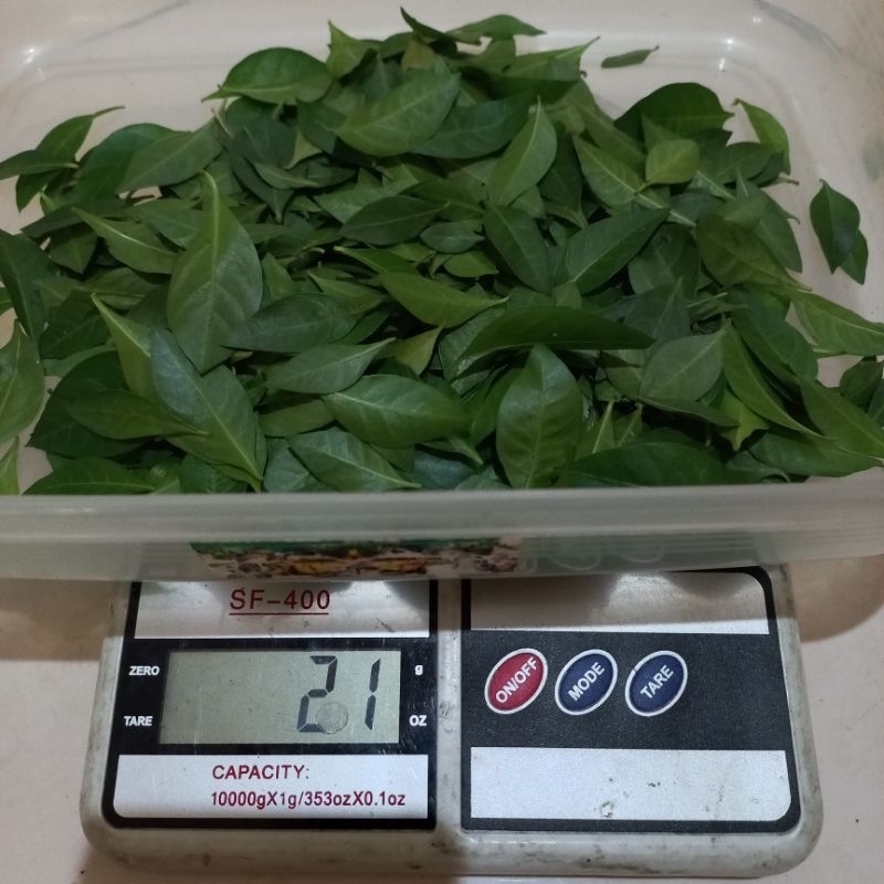 Jual Daun Henna Segar - Daun Inai - Pacar Kuku - Pewarna Kuku | Shopee ...