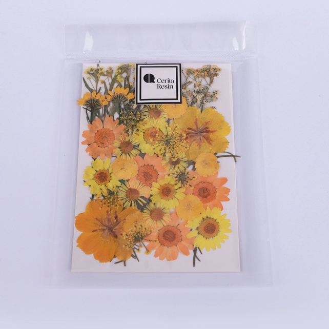 Jual CERITA RESIN - Bunga Kering Fillings Real DIY Dried Pressed Flower ...