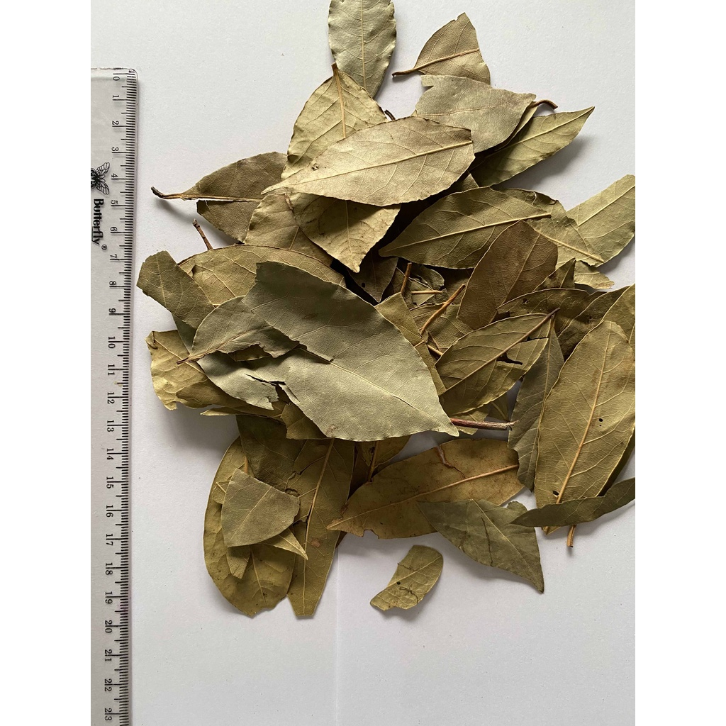 Jual Xiang Ye / Bay Leaf 100 gram | Shopee Indonesia