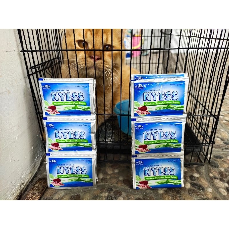 Jual Nyess Renceng/Minuman penyegar jeruk nipis lou han kou dan vitamin c/pereda panas dalam 1 ...