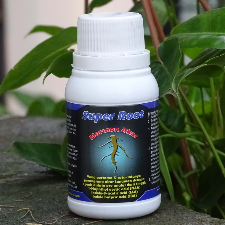 Jual hormon akar, hormon perakaran, auksin SUPER ROOT 100 ml | Shopee ...