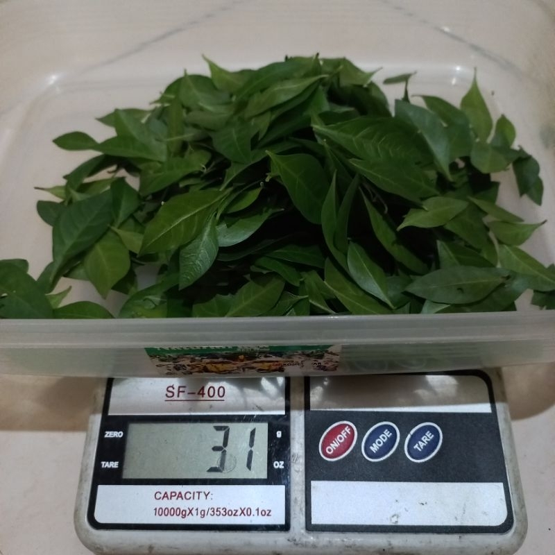 Jual Daun Henna Segar - Daun Inai - Pacar - Pewarna / Daun herbal ...