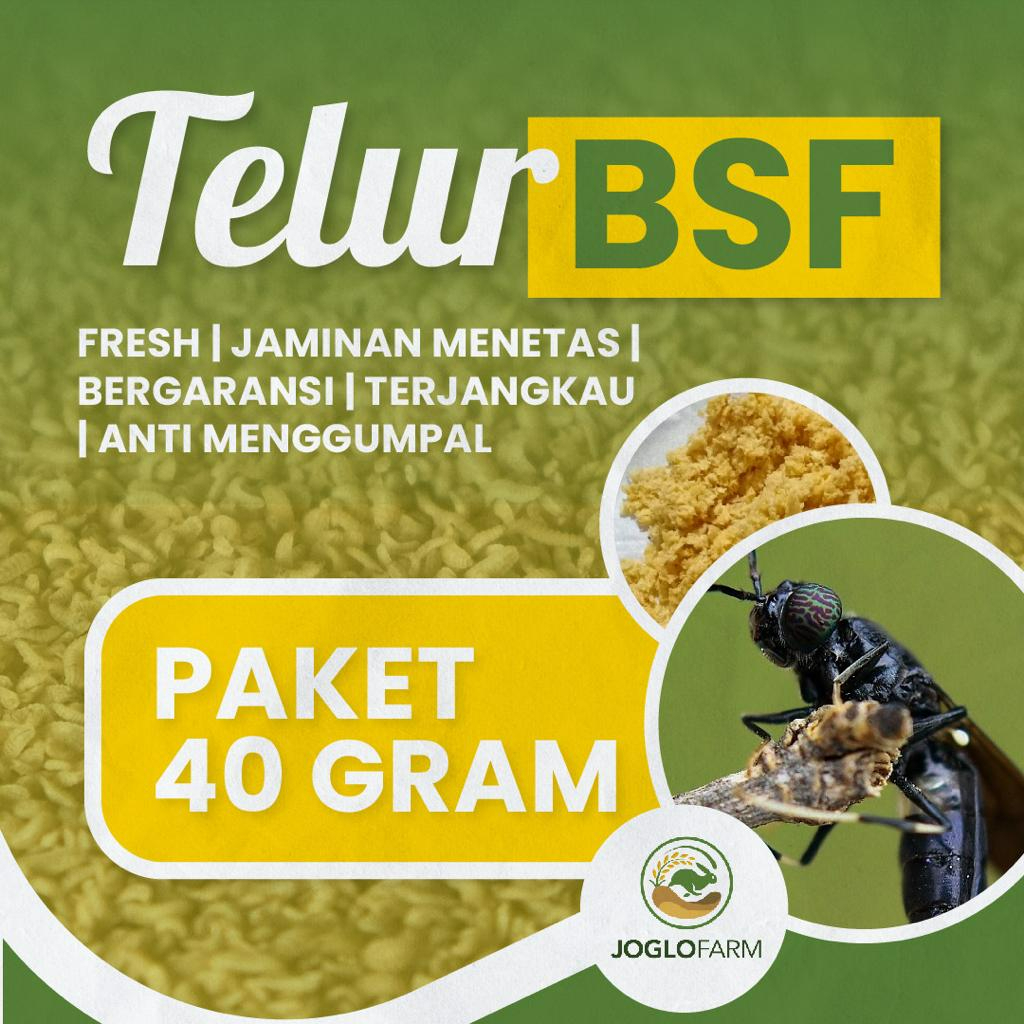 Jual Telur Maggot BSF 40 GRAM | Shopee Indonesia