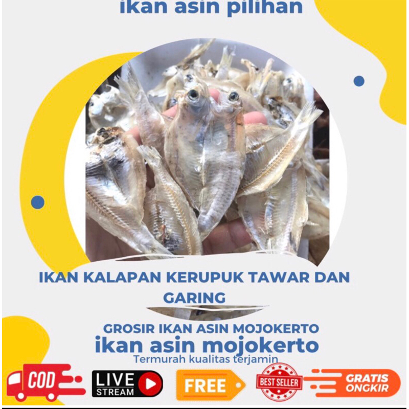 Jual Ikan Tawar Kalapan 250gr Ikan Pakang Tawar Harga Murah & Kualitas ...