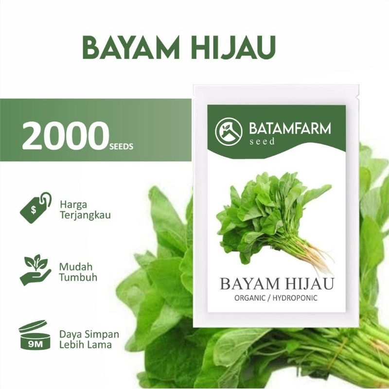 Jual Benih / Bibit Bayam Hijau Maestro | Shopee Indonesia
