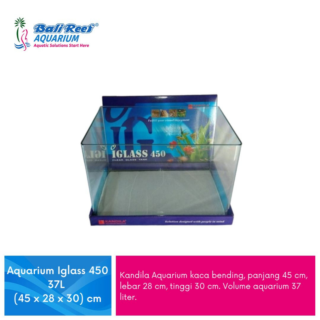 Jual Kandila Iglass Aquarium Bending 45 Cm | Shopee Indonesia