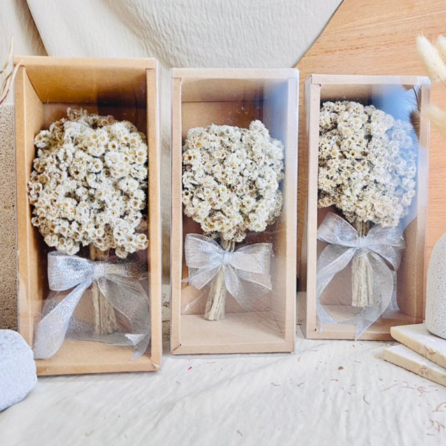 Jual BUNGA EDELWEIS / BROMO / ABADI NATURAL | KADO HADIAH UNTUK BESTIE ...