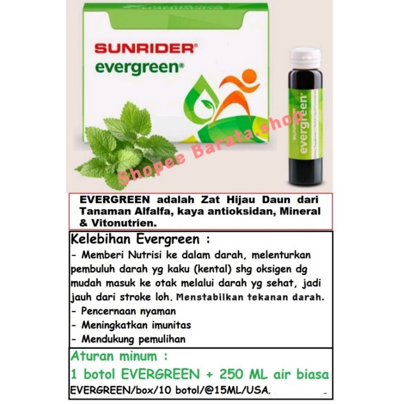Jual Sunrider Evergreen Promo Klorofil Hijau Daun Alfalfa Murni ...