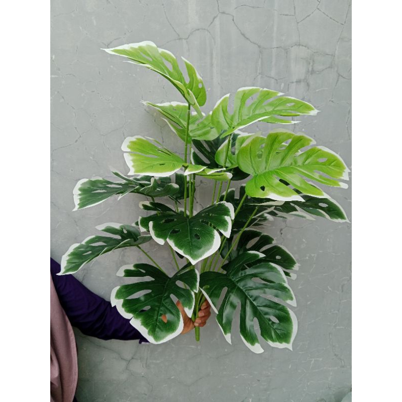 Jual TANAMAN PALSU MONSTERA 18 CABANG LIST PUTIH(BELUM TERMASUK POT ...