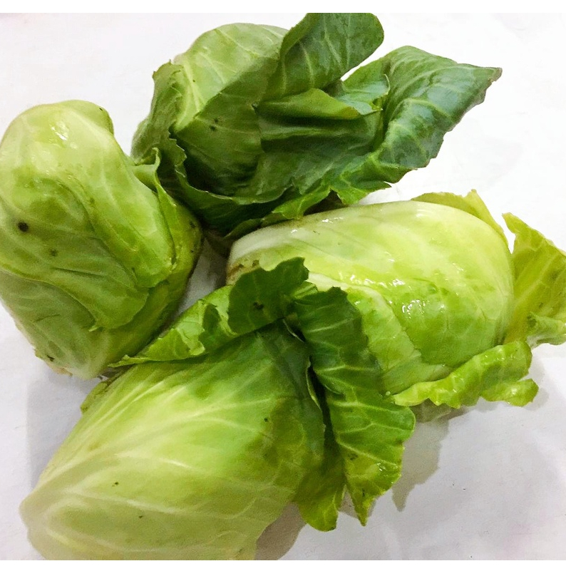 Jual Sayur Keciwis Kuciwis Kiciwis Ciwis | Shopee Indonesia