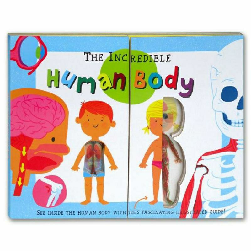 Jual The Incredible Human Body Board Book | Shopee Indonesia