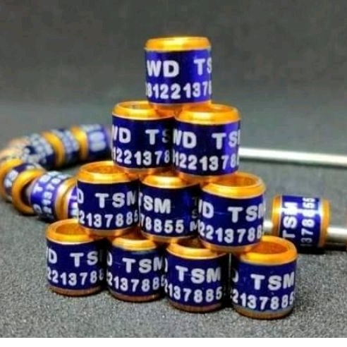 Jual RING BURUNG MERPATI MURAI LOVEBIRD KENARI PERKUTUT GRATIS CETAK ...